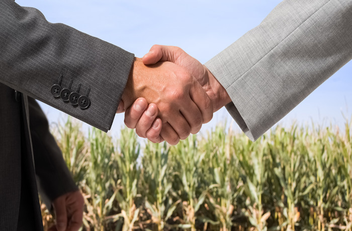 An Ideal Farm – Part I – Reema's Garden